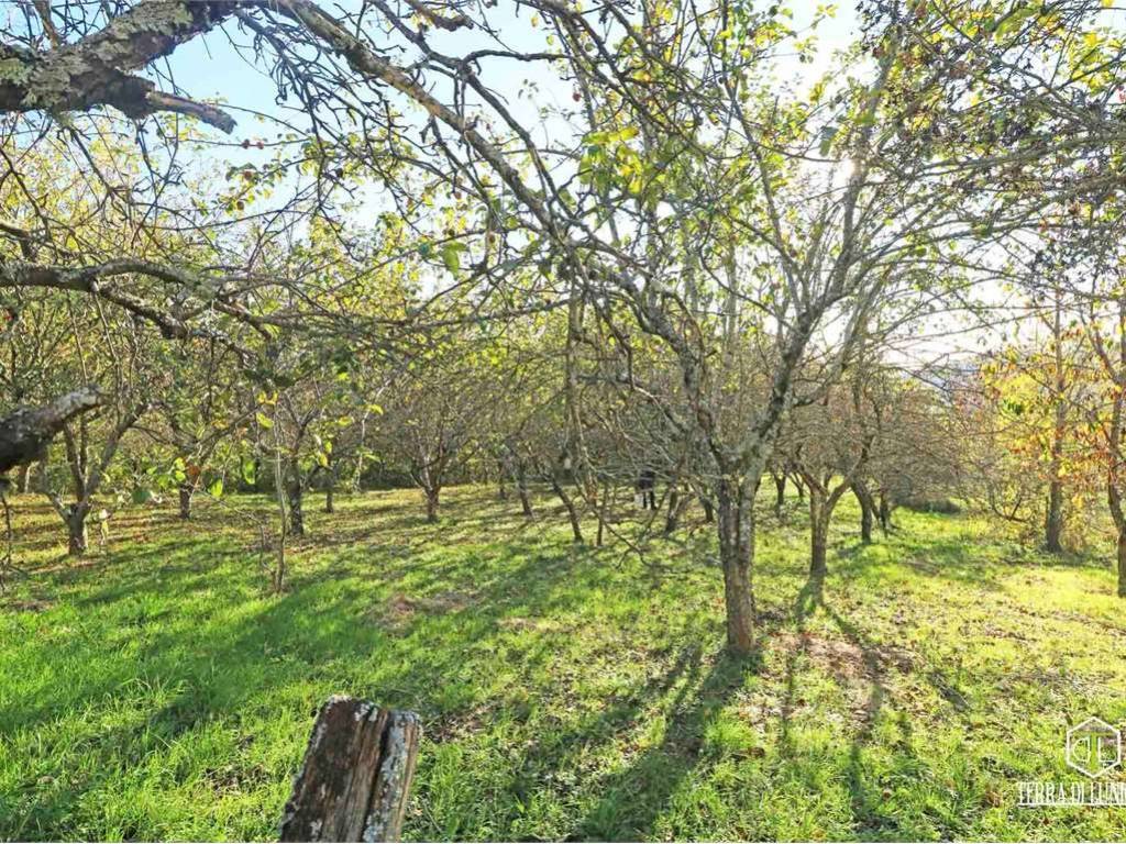 Vendita Rustico in arzelato Pontremoli. Da ristrutturare, 94 m², rif ...