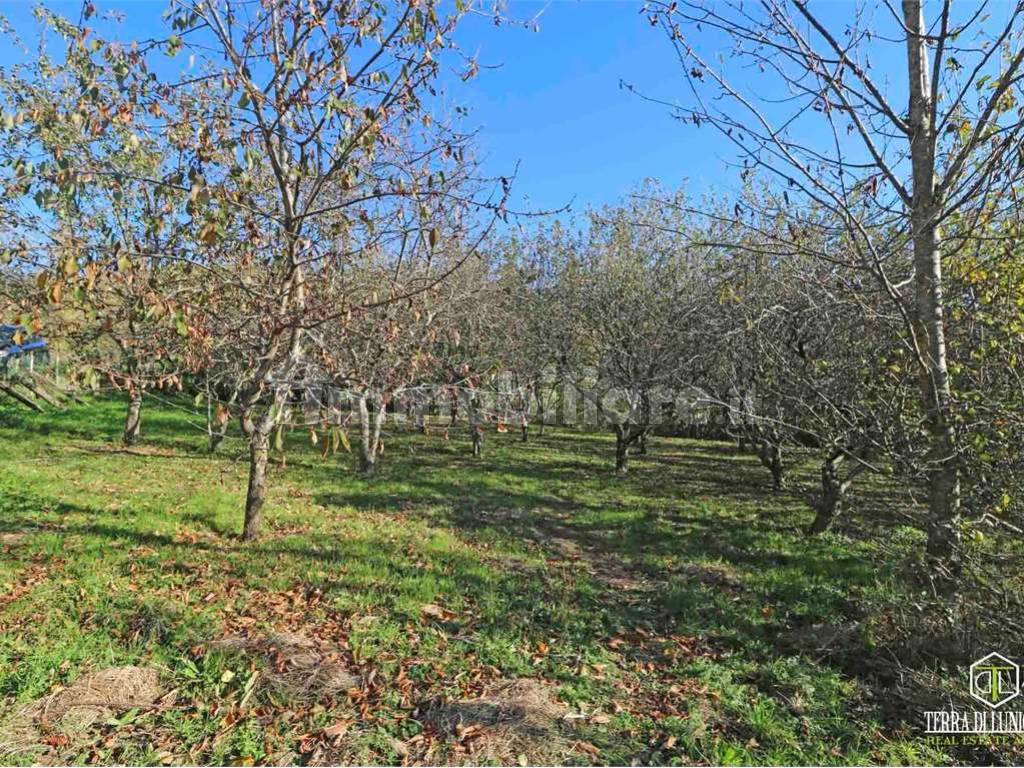 Vendita Rustico in arzelato Pontremoli. Da ristrutturare, 94 m², rif ...