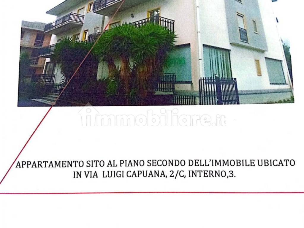 Asta per appartamento, via Luigi Capuana Scordia, rif. 125770119 ...