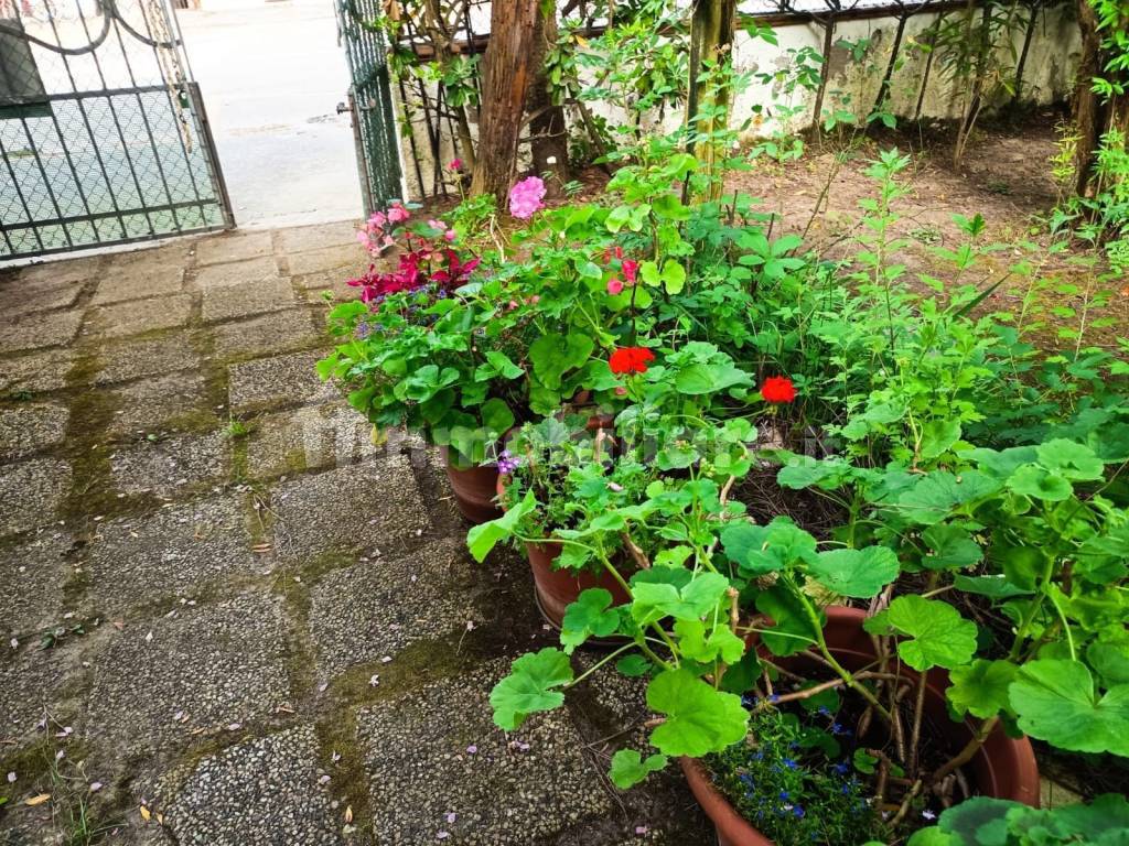 Vendita Villa a schiera in viale Giuseppe Verdi 103 Comacchio. Ottimo ...