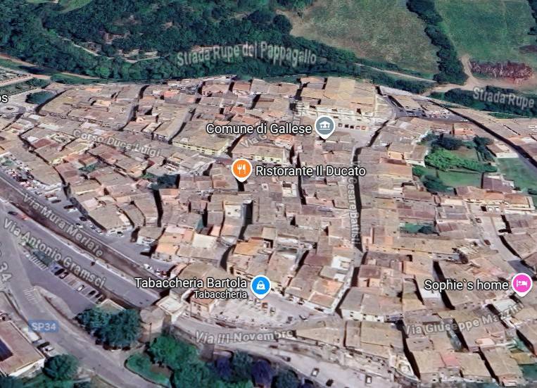 Asta per appartamento, Giuseppe Garibaldi, Centro Gallese, rif ...