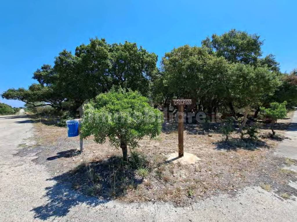 Asta per terreno agricolo, via Max Corvo, Centro Melilli, rif ...