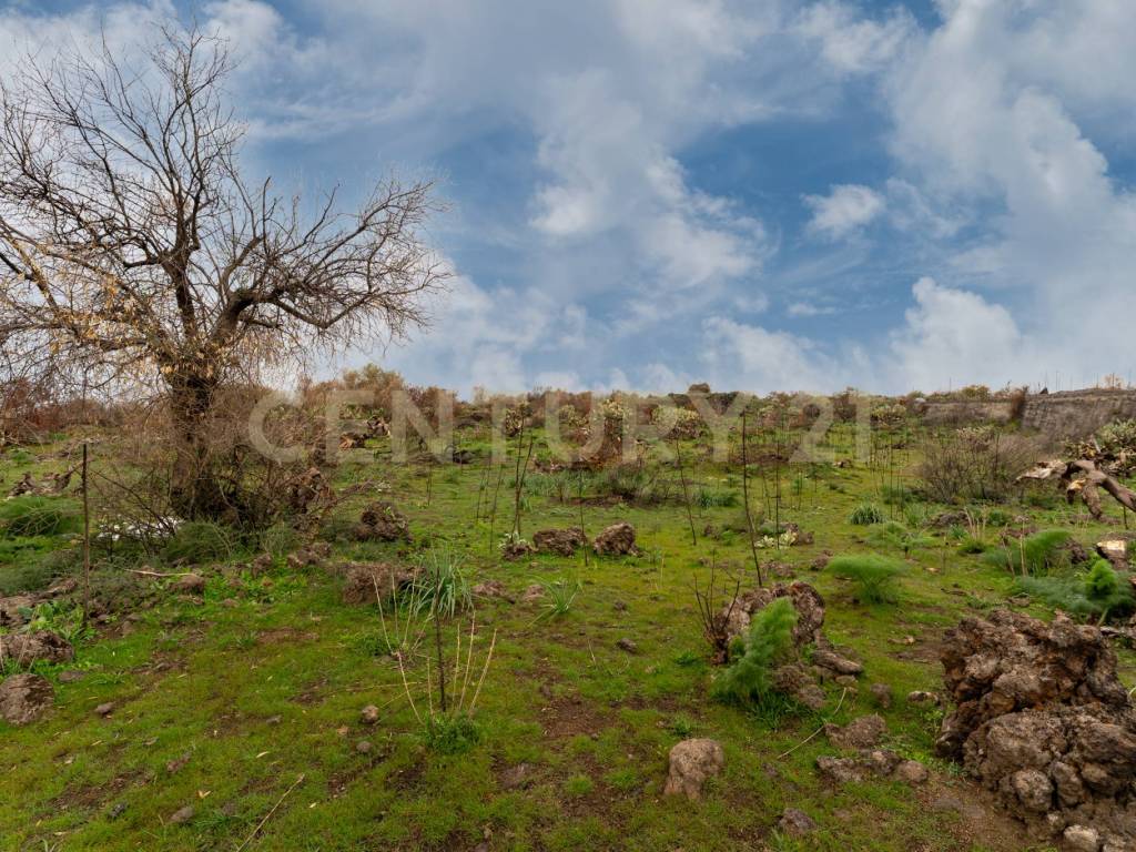 Terreno agricolo via Santa Maria di Licodia, Belpasso, rif. 126140117 ...