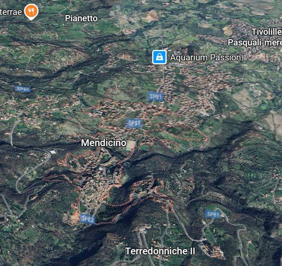 Asta per appartamento, corso Umberto I, Centro Mendicino, rif ...