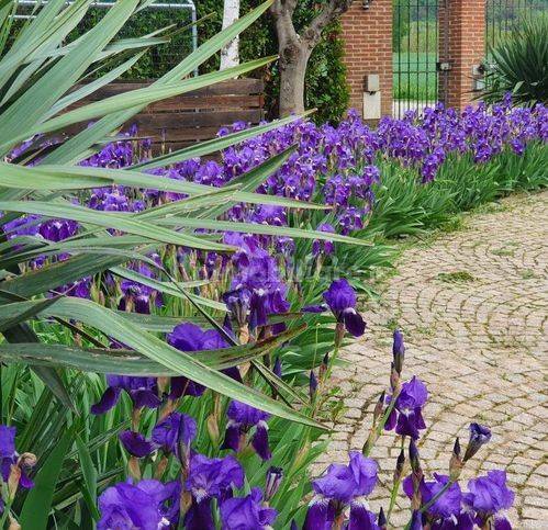 Vendita Villa unifamiliare in Località Boschetti 32 Fossano. Buono ...
