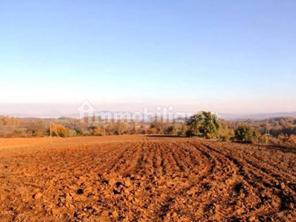 Vendita Rustico Grotte di Castro. Da ristrutturare, 220 m², rif. 126221619