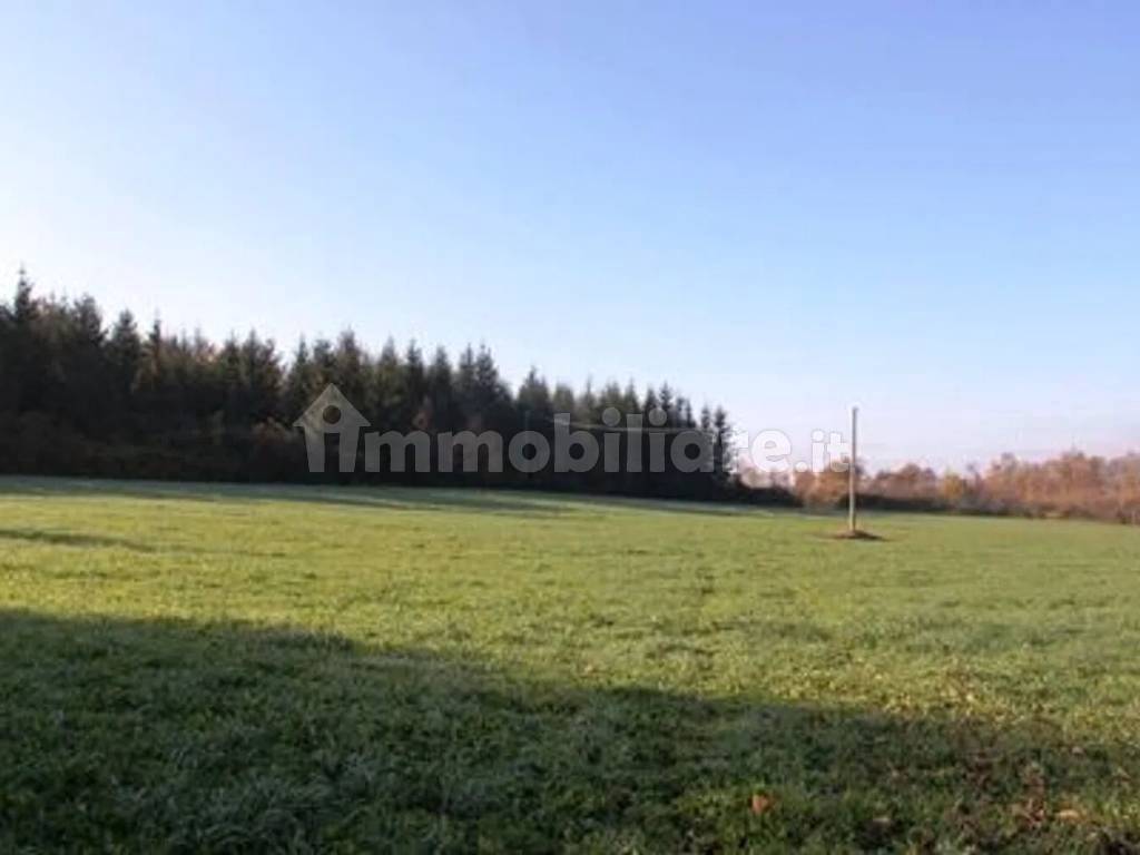 Vendita Rustico Grotte di Castro. Da ristrutturare, 220 m², rif. 126221619