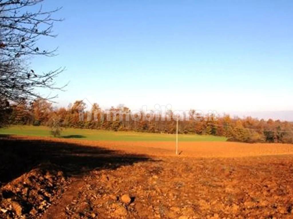 Vendita Rustico Grotte di Castro. Da ristrutturare, 220 m², rif. 126221619