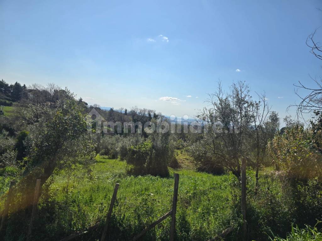 Vendita Rustico in via Ponte Veloce Velletri. Da ristrutturare, 2660 m² ...