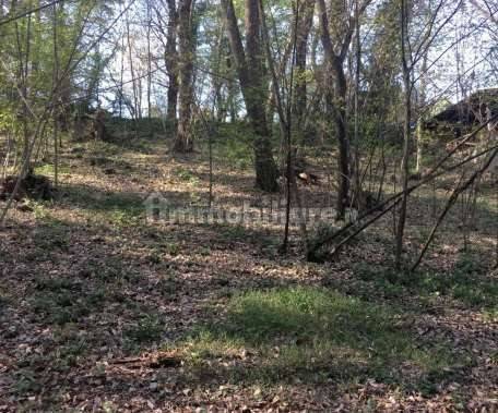 Asta per terreno agricolo, via degli Alpini Lipomo, rif. 129055968 ...