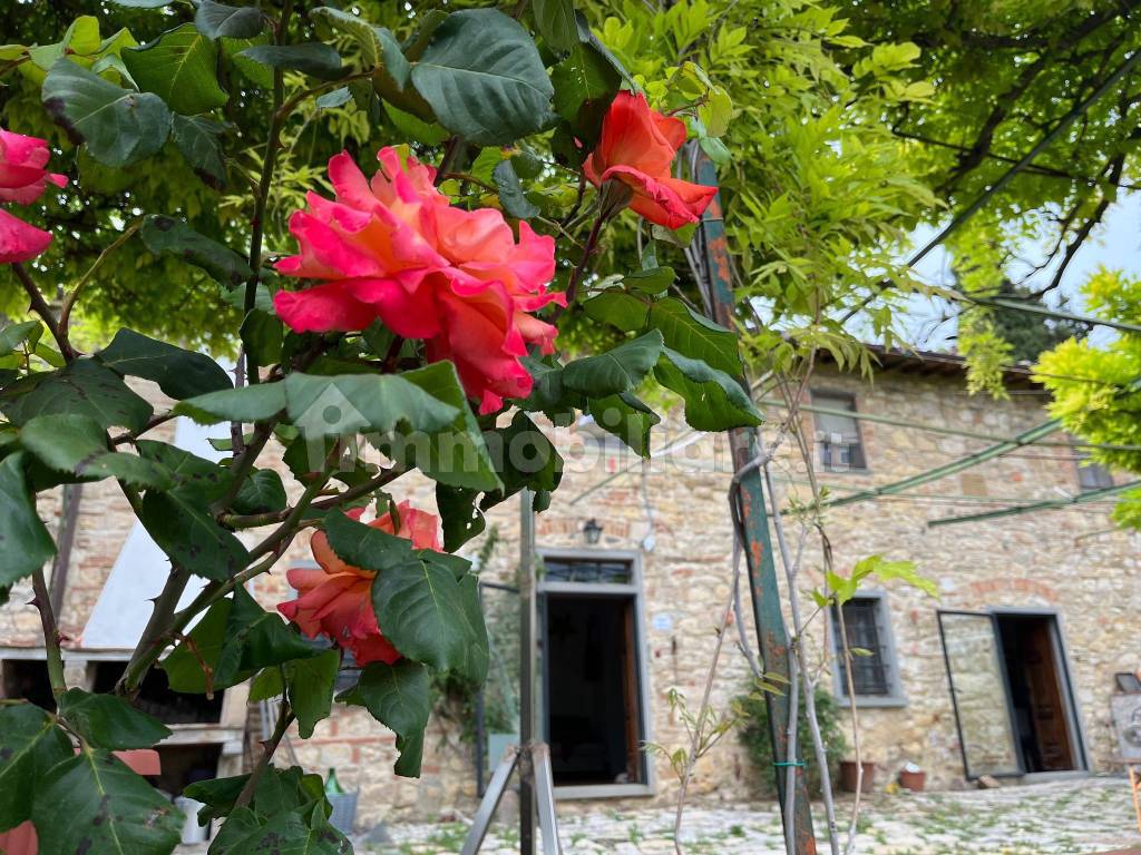 Vendita Casa colonica in via Gualtiero Nunzi San Casciano in Val di ...