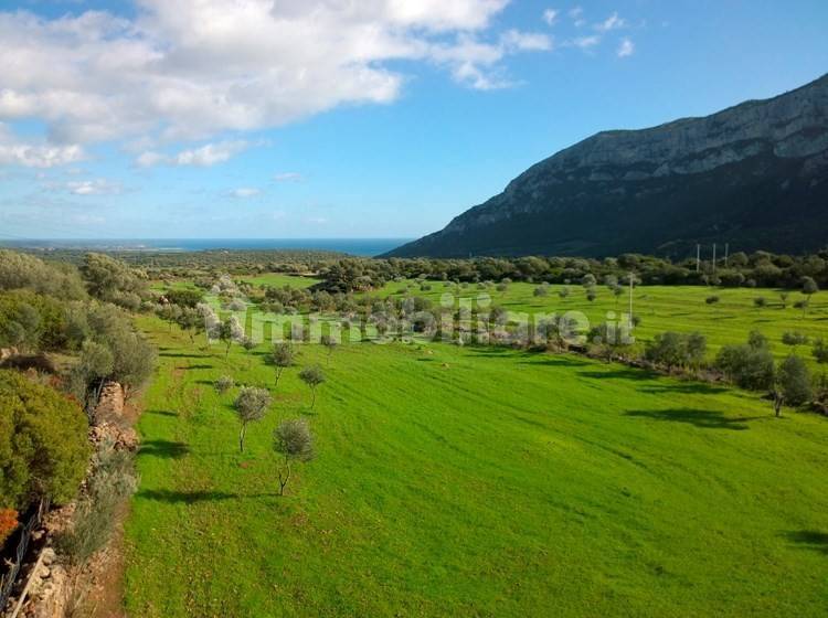 Azienda agricola in Vendita