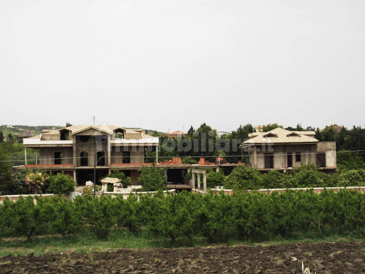 Azienda agricola in Vendita