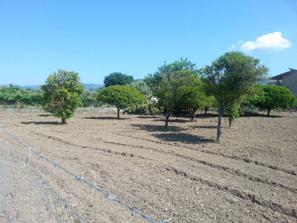Building land, Gioiosa Ionica, ref. 61931784 - Immobiliare.it