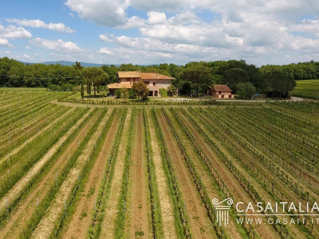 Locale commerciale Vendita, Castiglione del Lago, rif. 62486320 ...