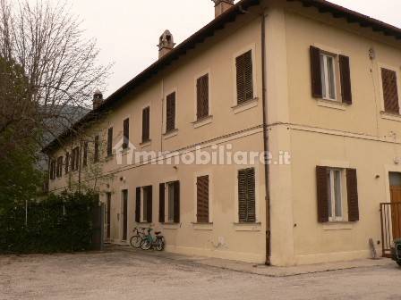 Azienda agricola in Vendita