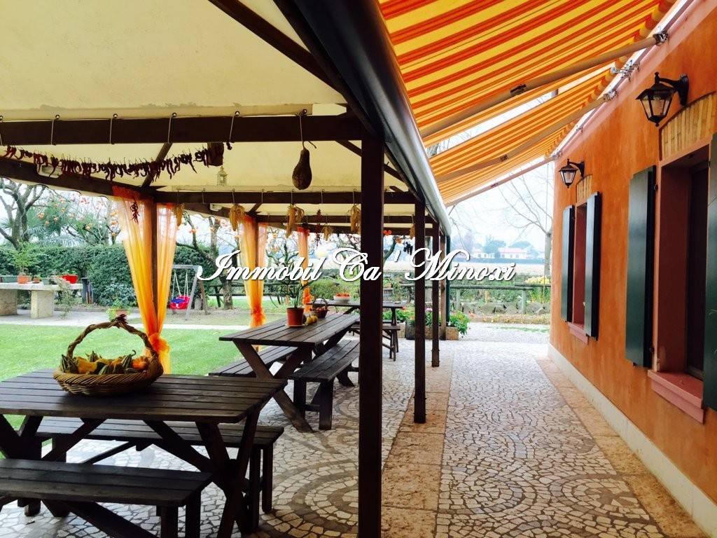 Azienda agricola in Vendita