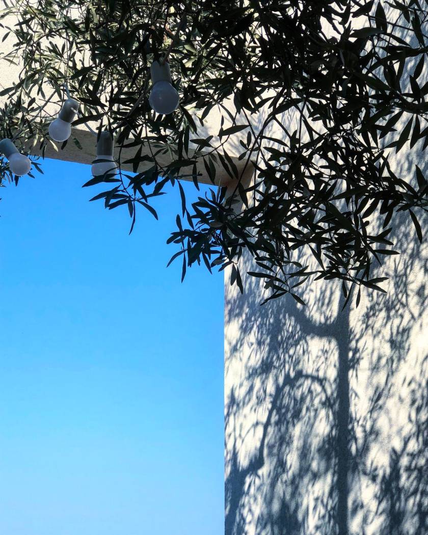 Villa unifamiliare, nuova, 230 m², Polignano a Mare