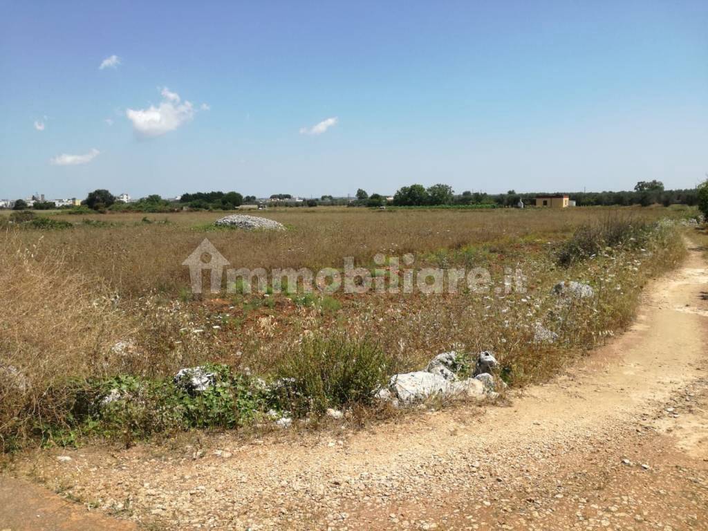Terreno agricolo, Surano, rif. 67776005 - Immobiliare.it