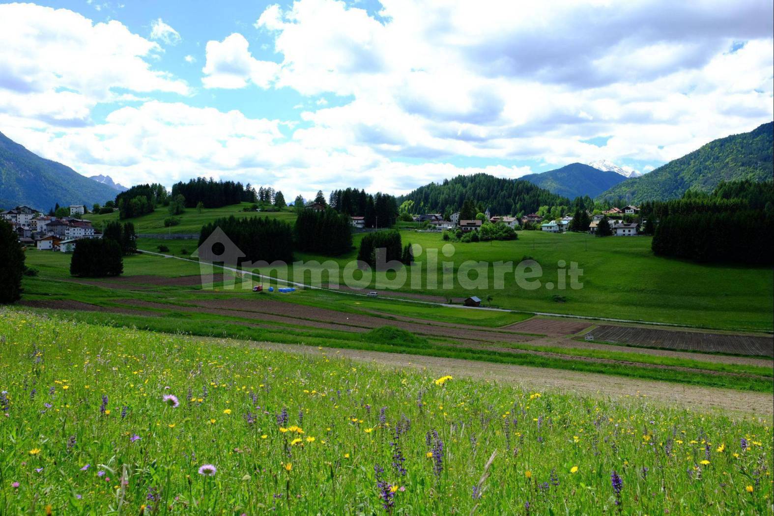 Villa bifamiliare Borgo Villanuova 62, Vigo di Cadore
