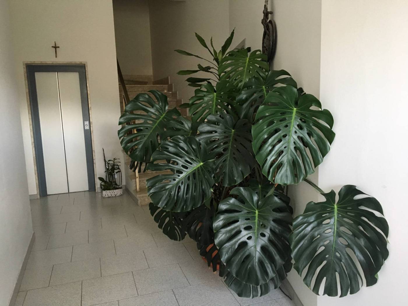 Quadrilocale via Orientale 50, Centro, Arielli