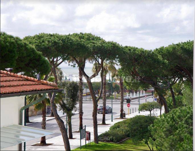 Quadrilocale via Eugenio Barsanti, Centro, Forte dei Marmi