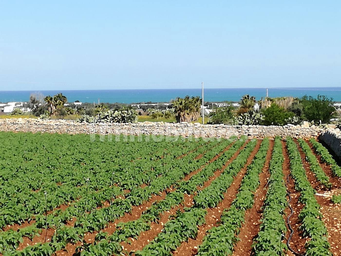 Villa unifamiliare Strada Comunale Grottole, Polignano a Mare