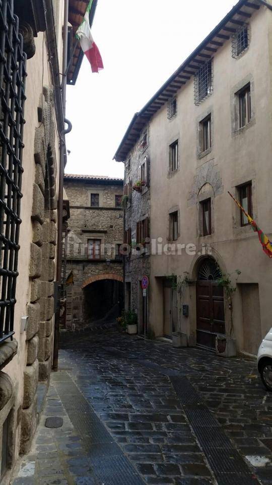 Trilocale Castel del Piano via della penna, Centro, Castel del Piano
