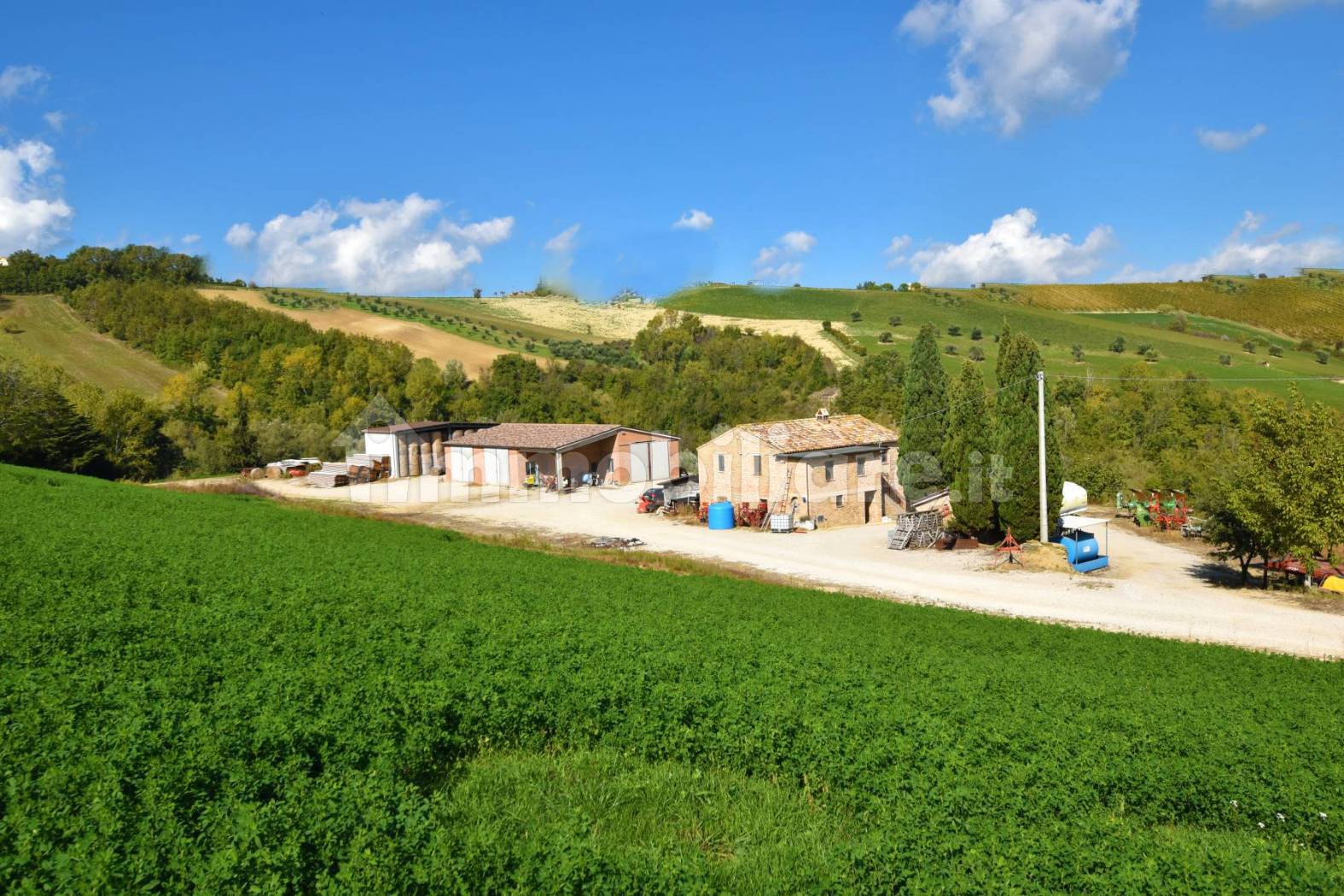 Azienda agricola in Vendita