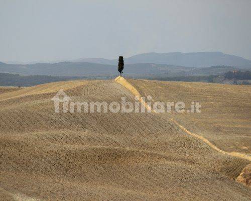 Ristorante in Vendita