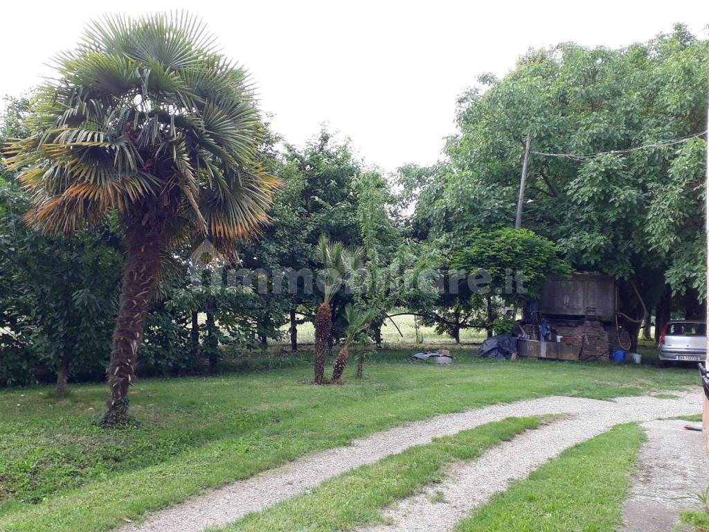 Terreno agricolo via Gabina 3, Cotignola, rif. 80983073 - Immobiliare.it