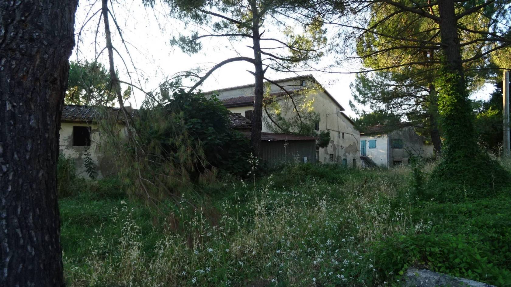 Azienda agricola in Vendita