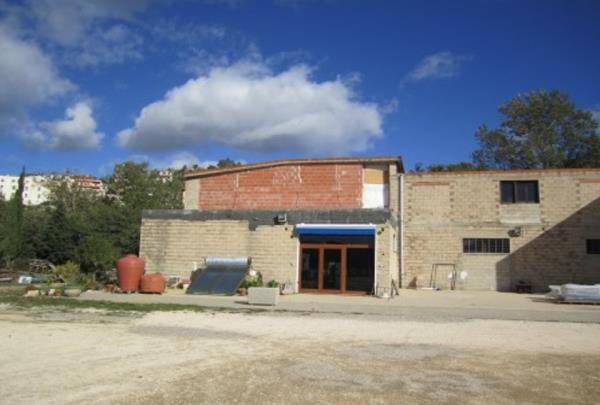 Locale commerciale in Vendita