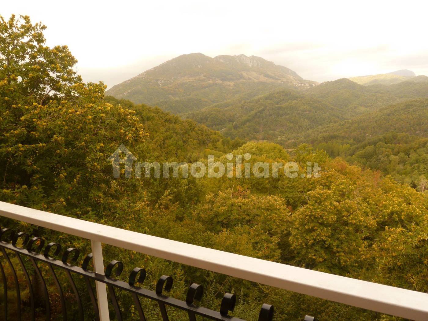 Bilocale via delle Querce, Nespolo