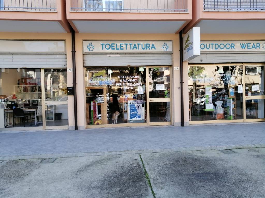 Locale commerciale via Carlo Armellini, Rimini, rif. 84062666 ...